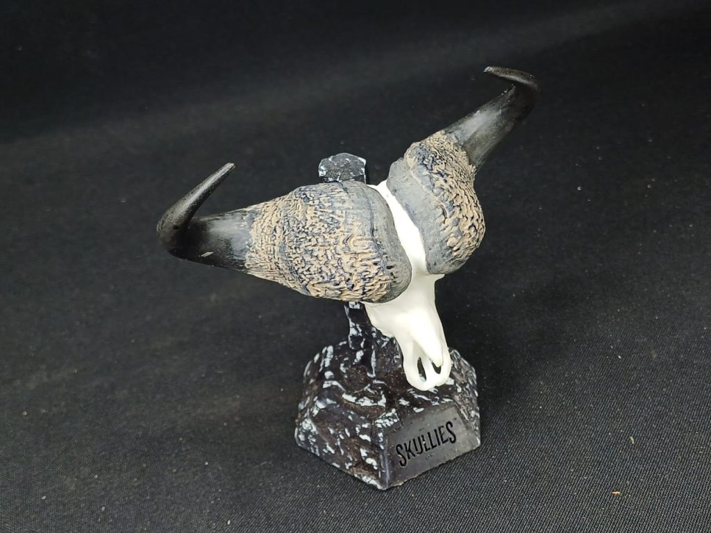 Skullies Collectable Mini Skulls Display Stand(Skullies sold separately ...